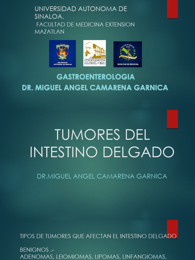 Tumores Del Intestino Delgado | PDF