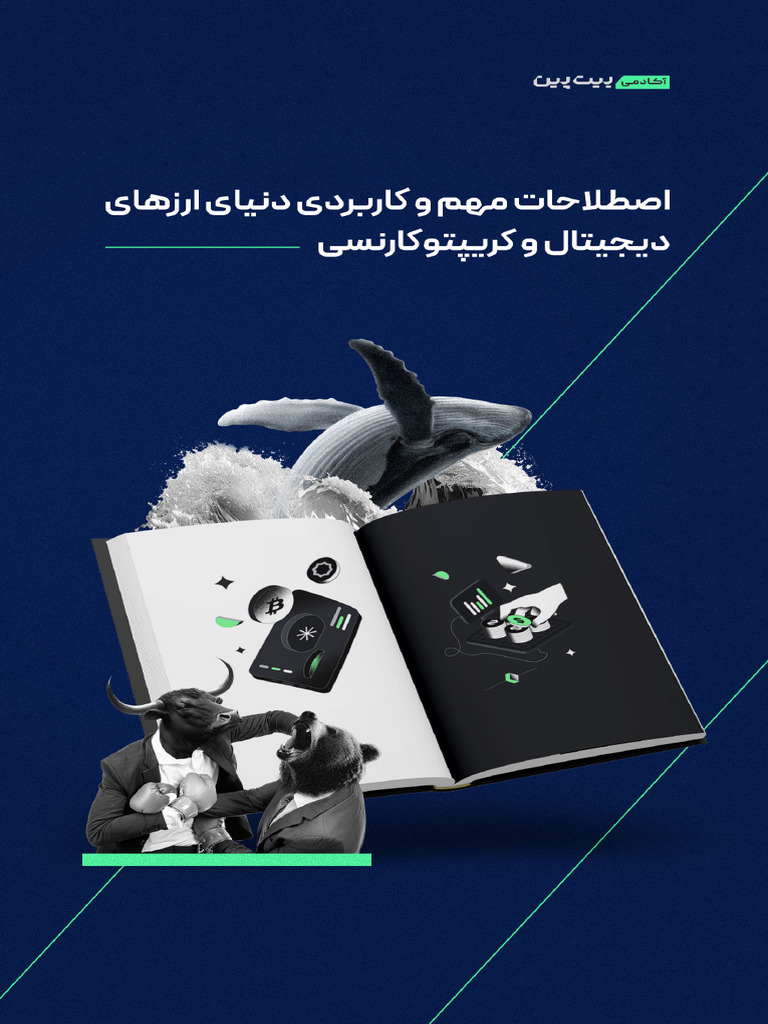 Common Terms in The Digital Currency Market Bitpin | PDF