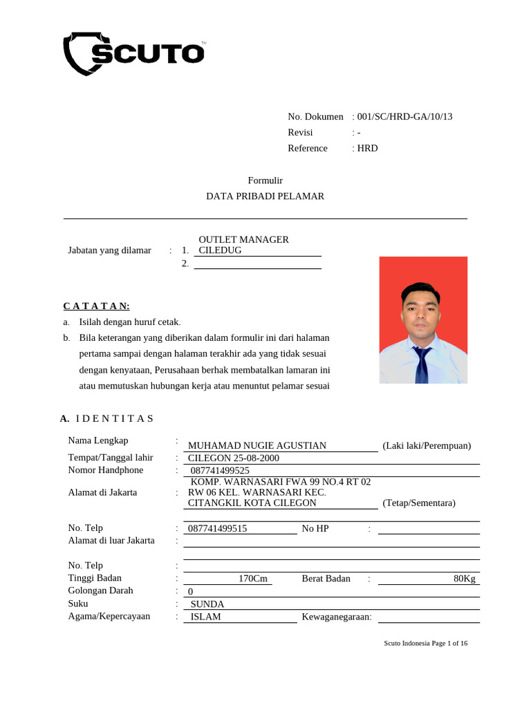 Formulir Isian Data Pelamar | PDF