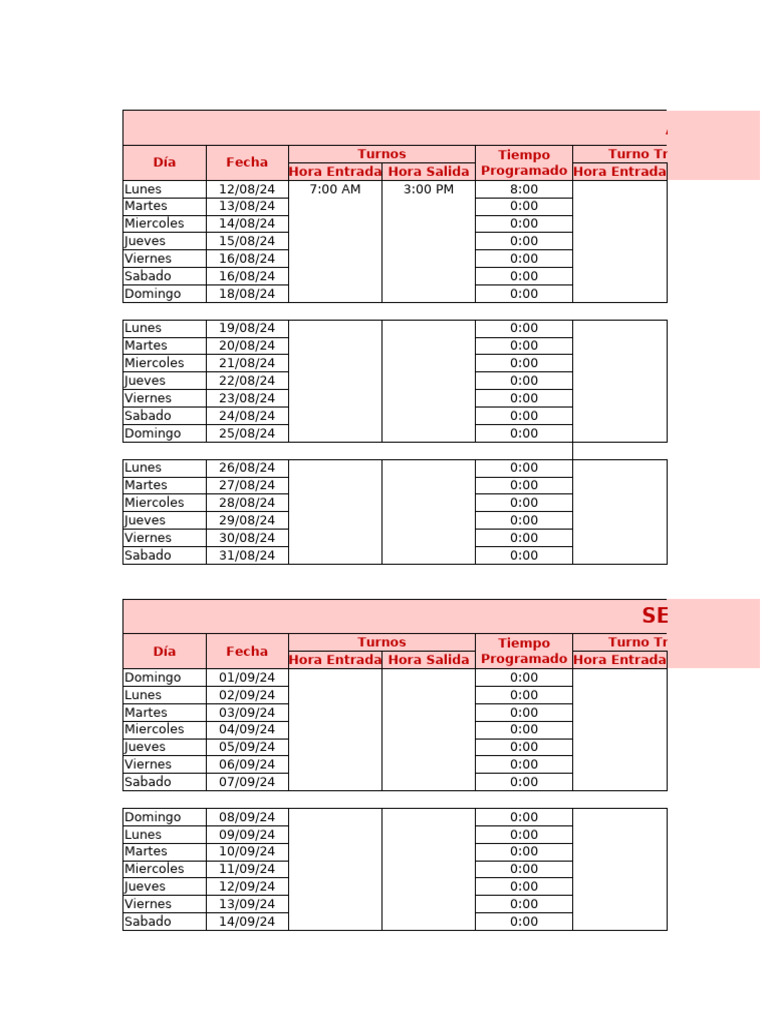 Bitacora Tiempo | PDF