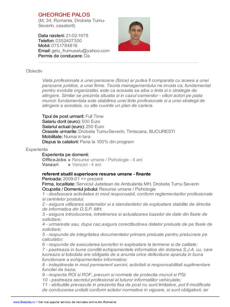 CV Gheorghe-Palos | PDF