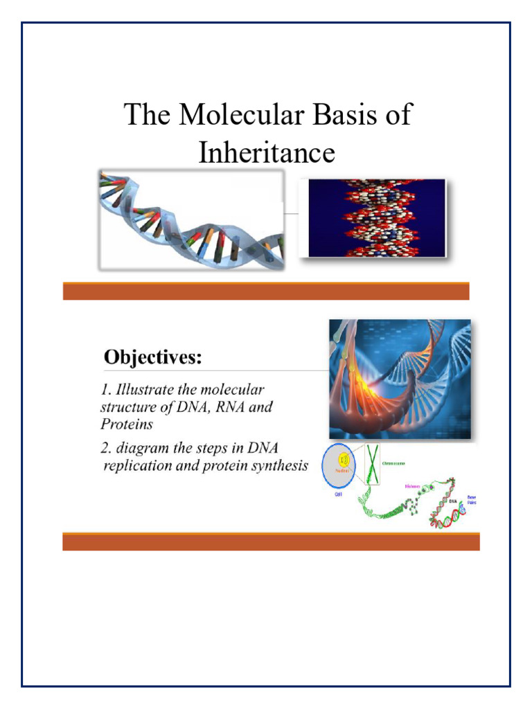LECTURE Ppt. Molecular Basis of Inheritance FINAL TERM 1 | PDF
