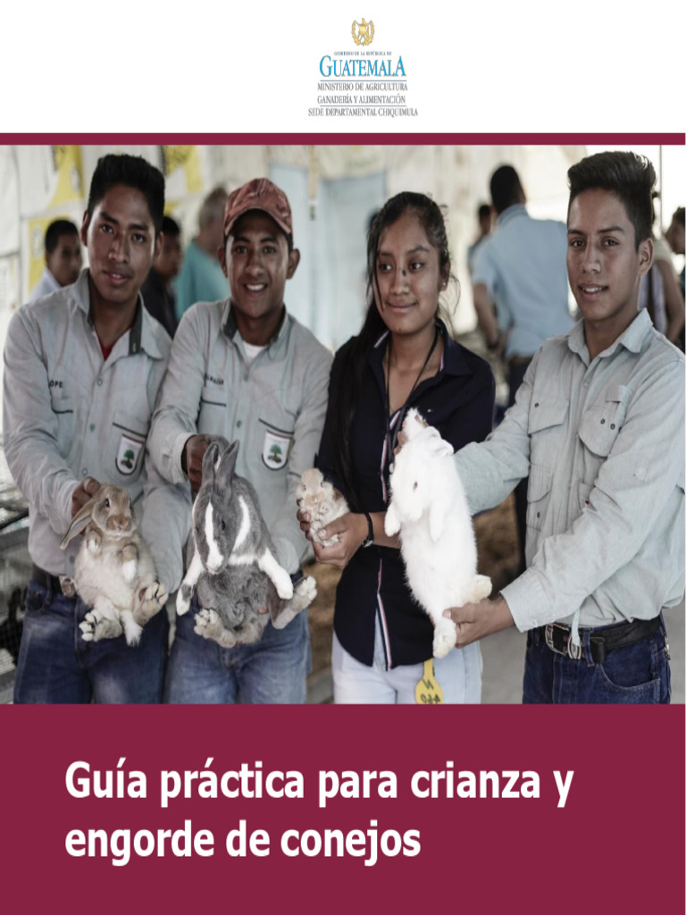 Guía Práctica Para Crianza Y Engorde De Conejos Pdf