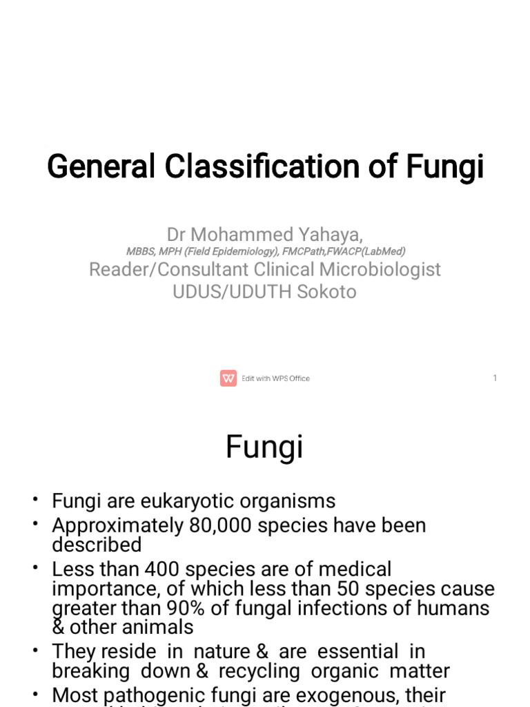 General Classification of Fungi | PDF