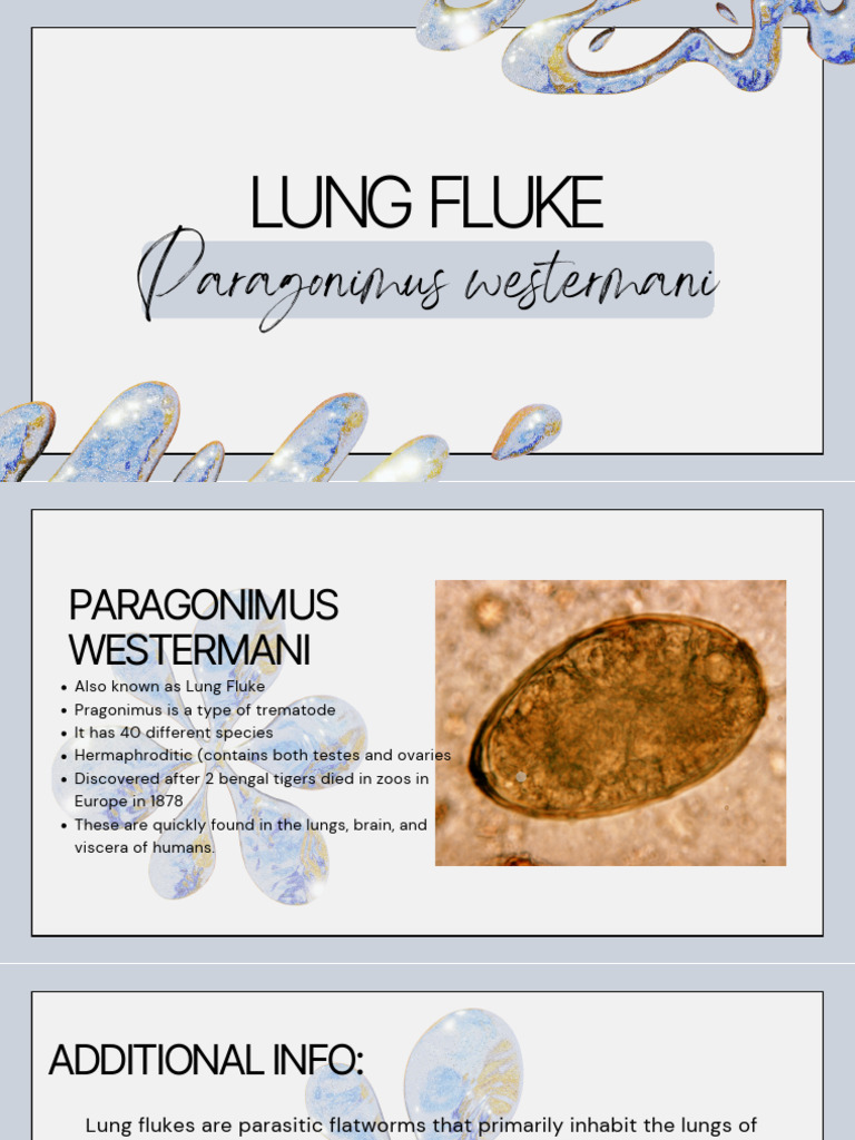 Paragonimus Westermani | PDF