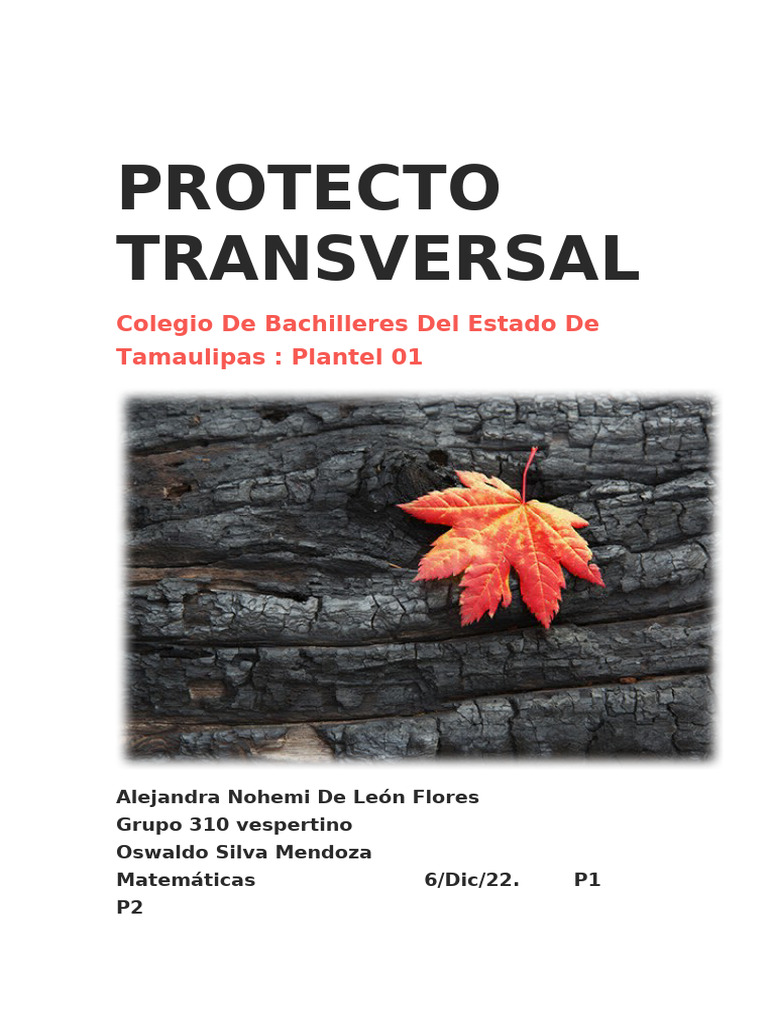 Proyecto Transversal | PDF