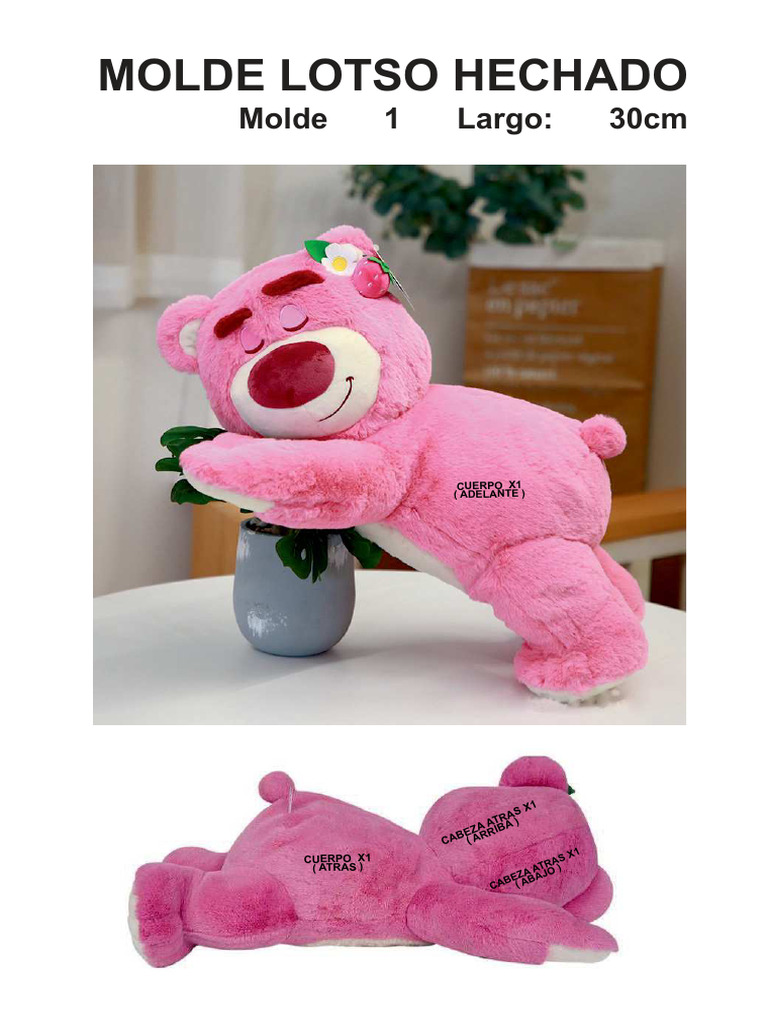 Lotso Hechado 30 | PDF