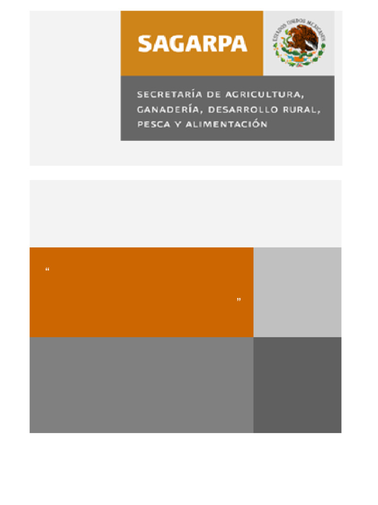Circular 001-2010 Proyecto-Historico | PDF