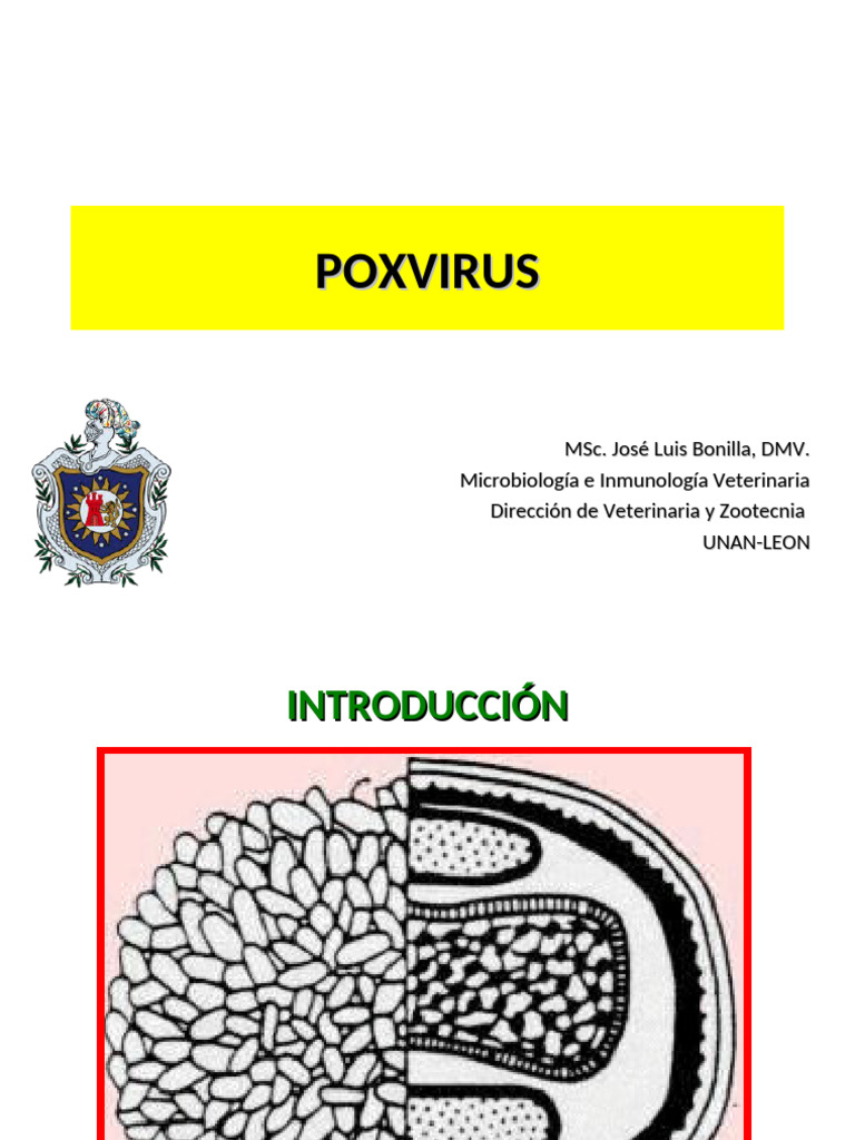 Pox Virus | PDF