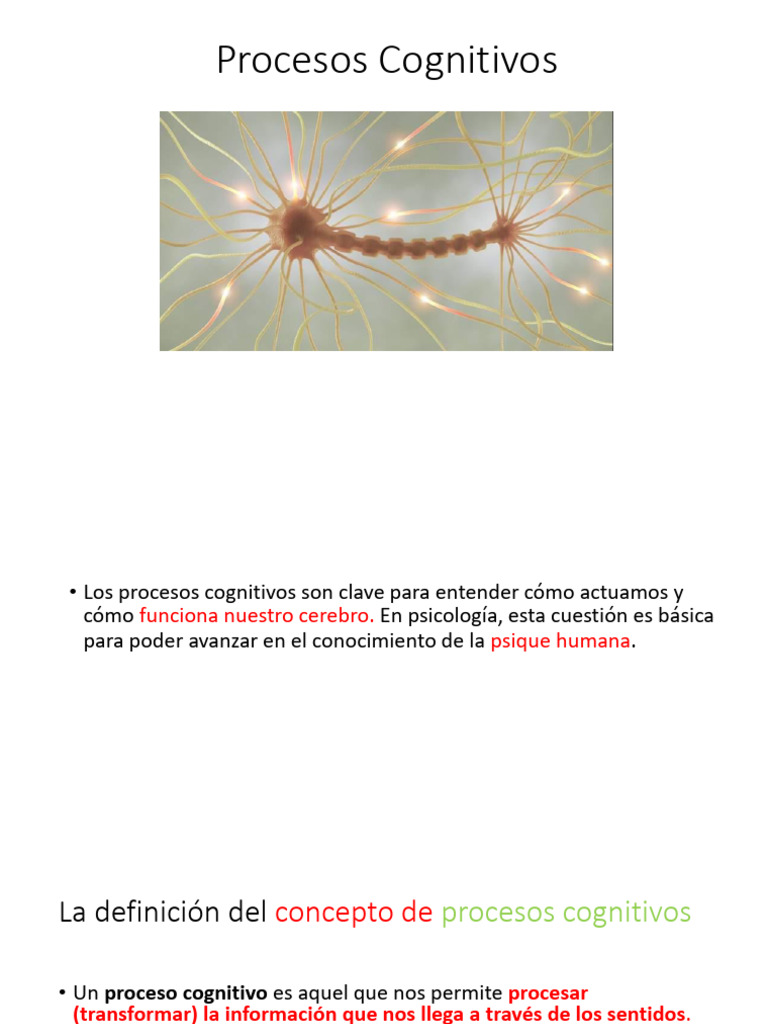 Procesos Cognitivos Pdf