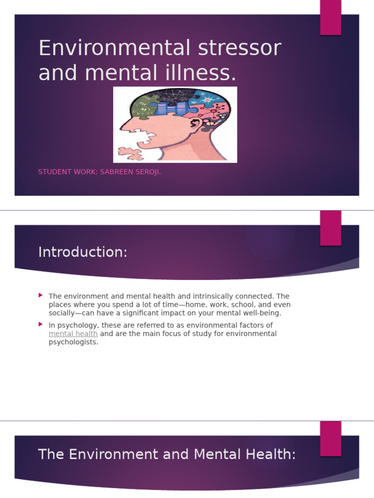 Environmental Stressor and Mental Illness | PDF