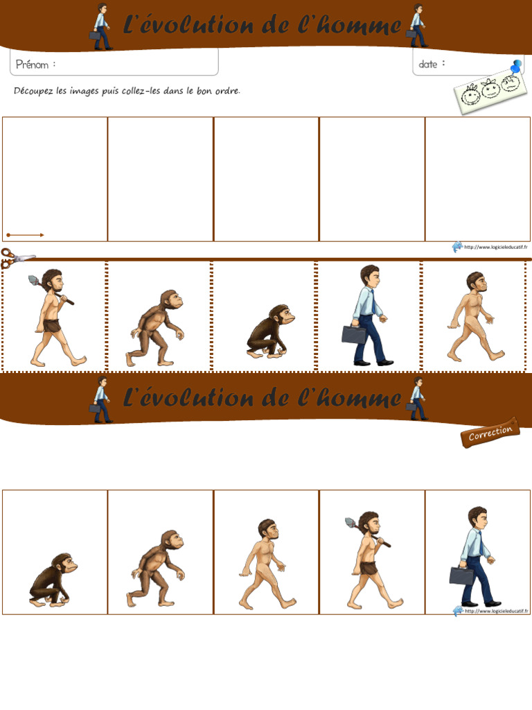 Images Sequentielles Evolution de L Homme | PDF