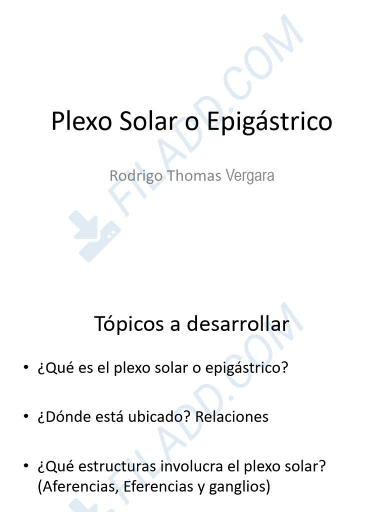 Plexo Solar o Epigastrico | PDF
