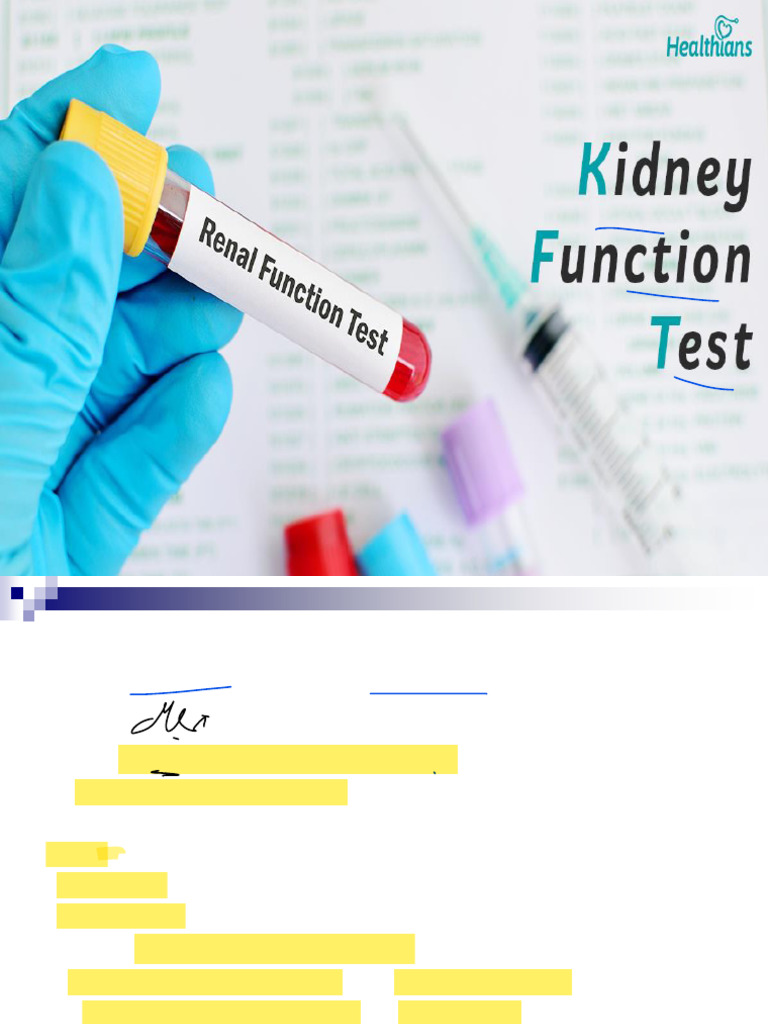 Renal Function Test | PDF