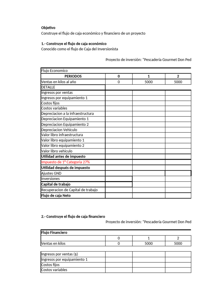 Formato Flujo Caja | PDF
