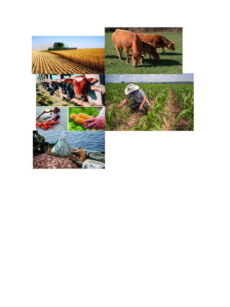 sector primario | PDF