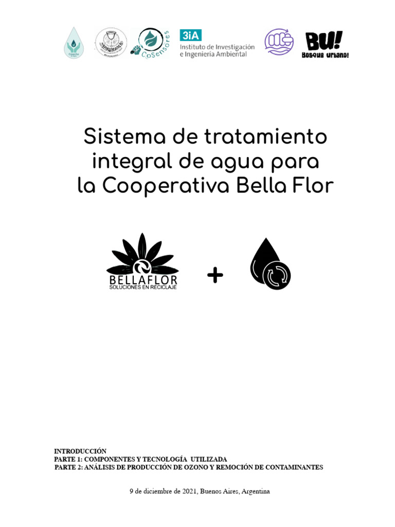 Informe Bella Flor - Parte1y2 | PDF