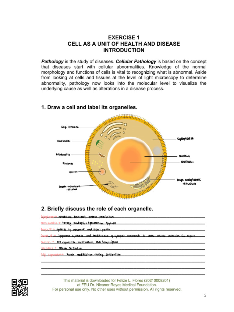 2W Flores, Felize Lab Exercise #1 | PDF 2W Flores, Felize Lab Exercise #1 | PDF