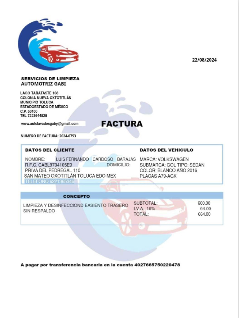 Lavado Automotriz Gaby | PDF