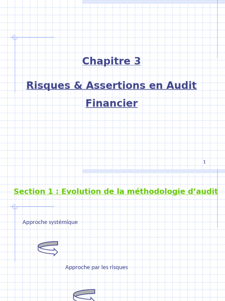 Chapitre 3 Audit | PDF