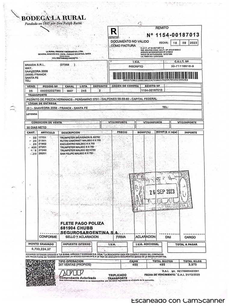 Remito Ejemplos | PDF