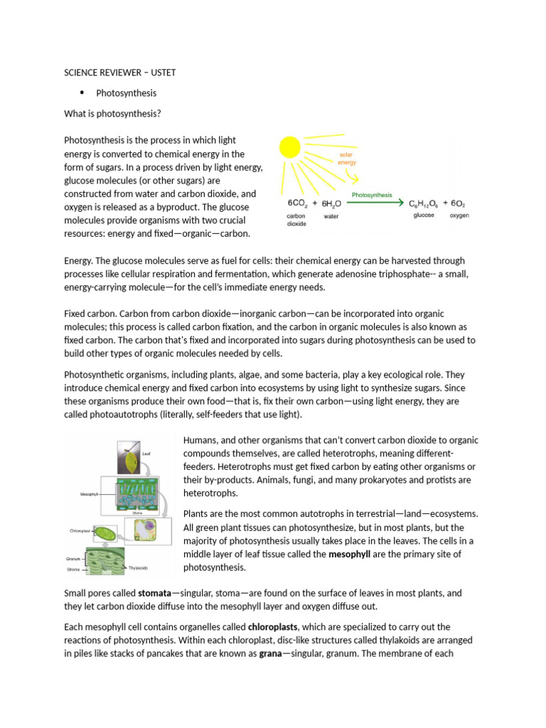 Ustet Reviewer | PDF