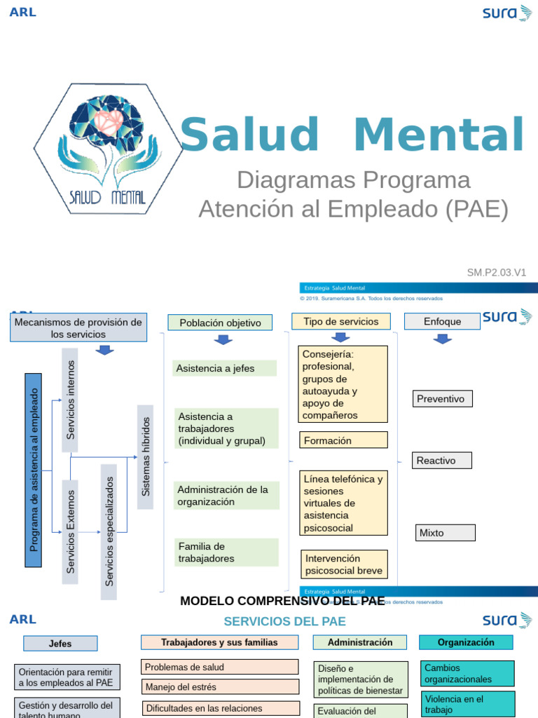 Sm.p2.3.v2 Diagramas Pae v2 | PDF