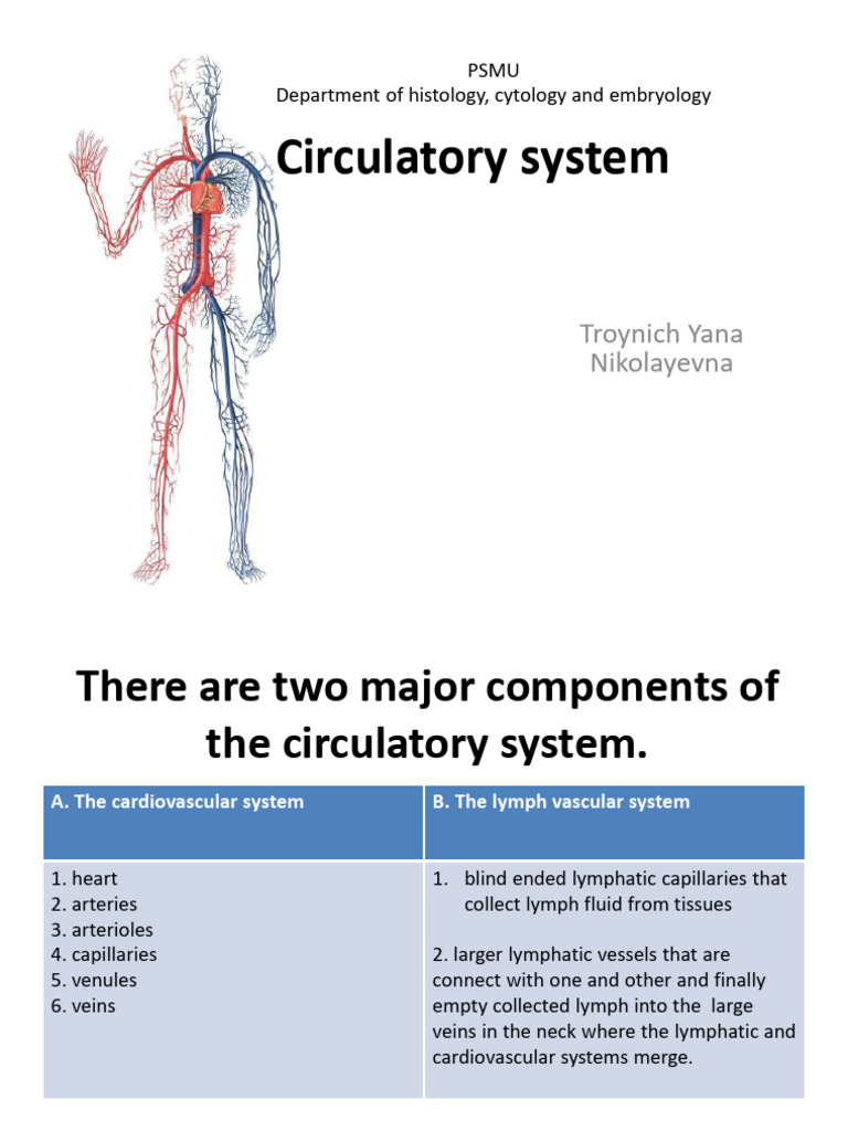 Cardiovascular System | PDF