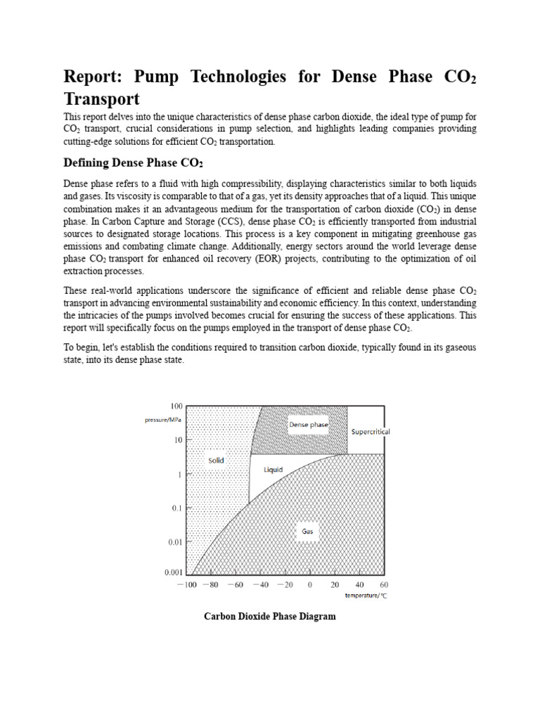 Pumps For Dense Co2 | PDF