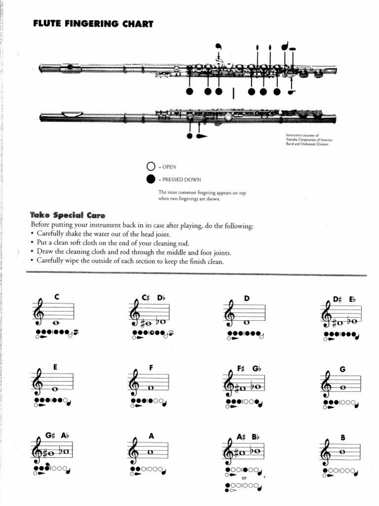 Resources - Fingering Chart - Flute | PDF