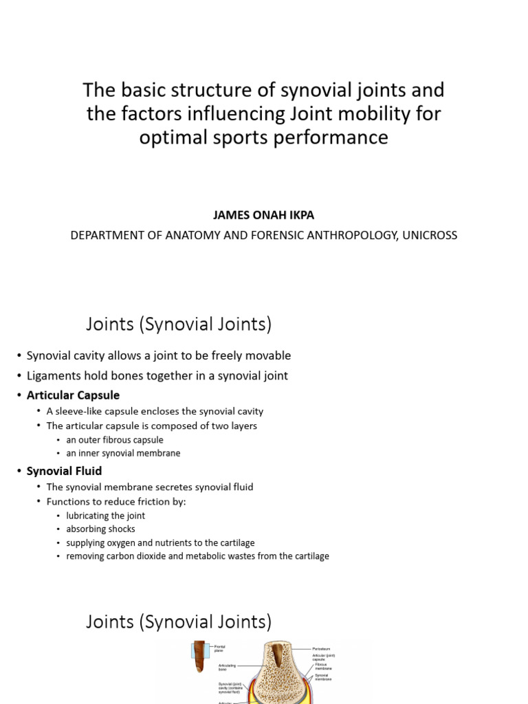 Sports Anatomy Lect | PDF