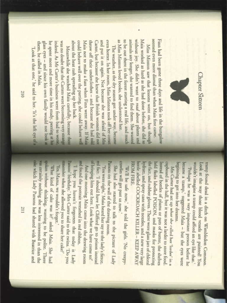 Journey To The River Sea Chapter 16 | PDF