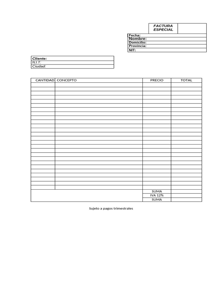 358317130 Modelo De Factura Especial Pdf