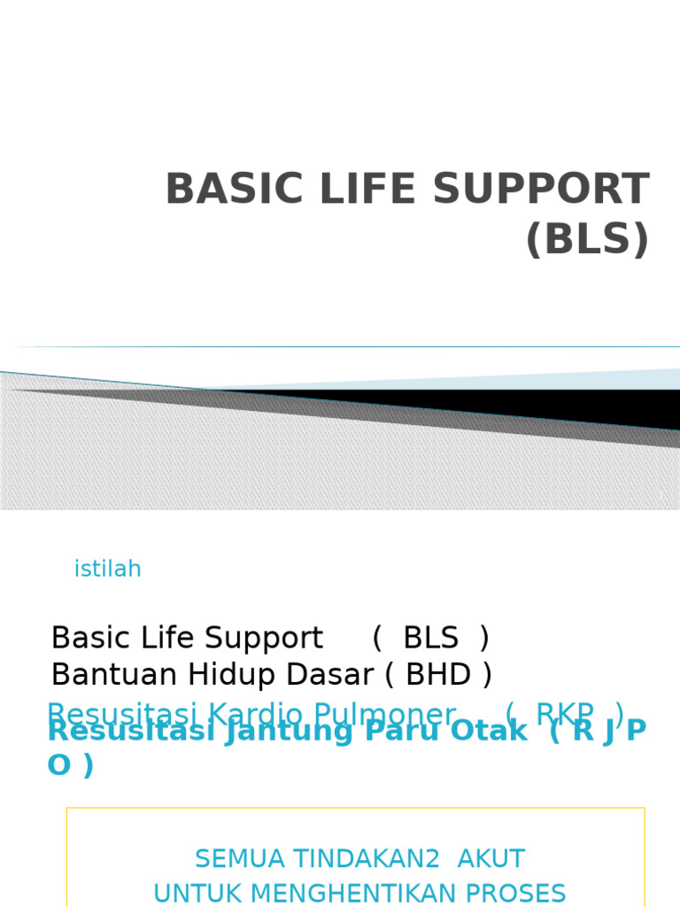 Basic Life Support Bls Pdf