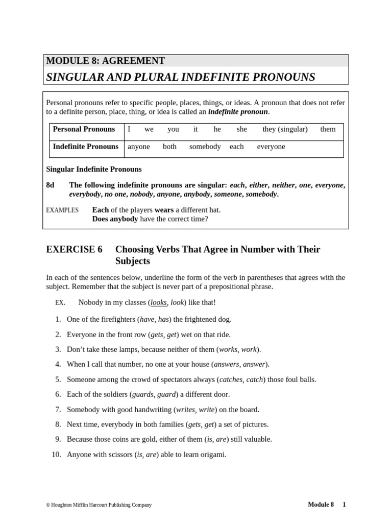 45 Singular and Plural Indefinite Pronoun | PDF