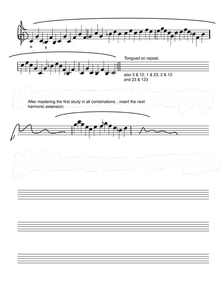 Zambito Zigzag Flexing | PDF