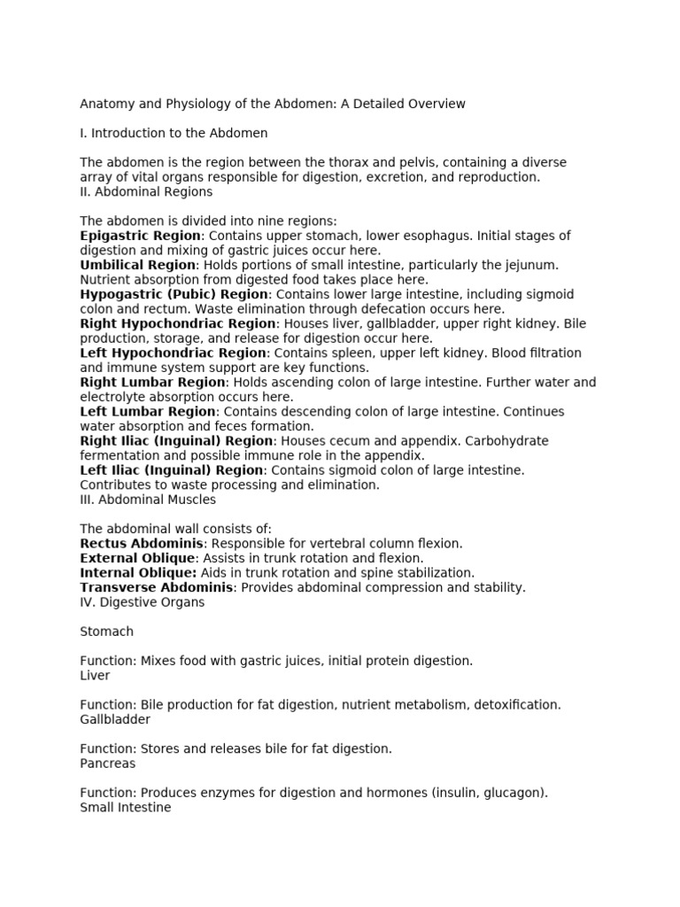 Anatomy and Physiology of the Abdomen | PDF