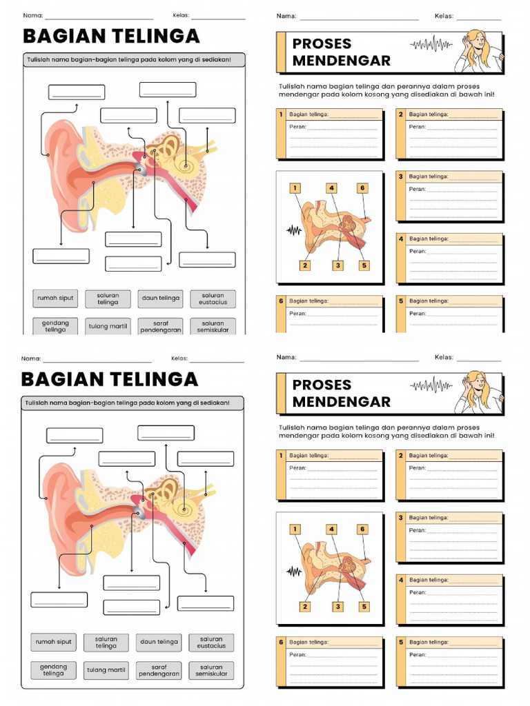 LKPD Ipas Bagian-Bagian Telinga | PDF