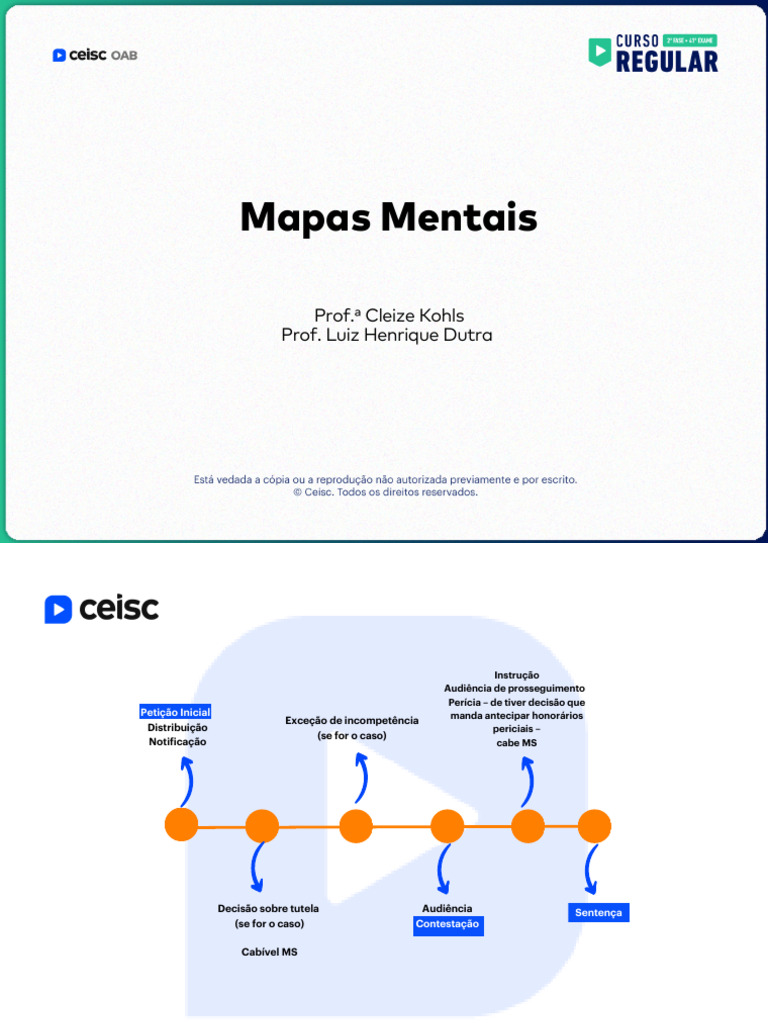 Mapas Mentais | PDF