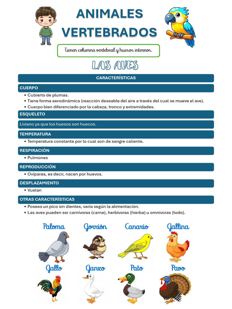 Animales Vertebrados | PDF