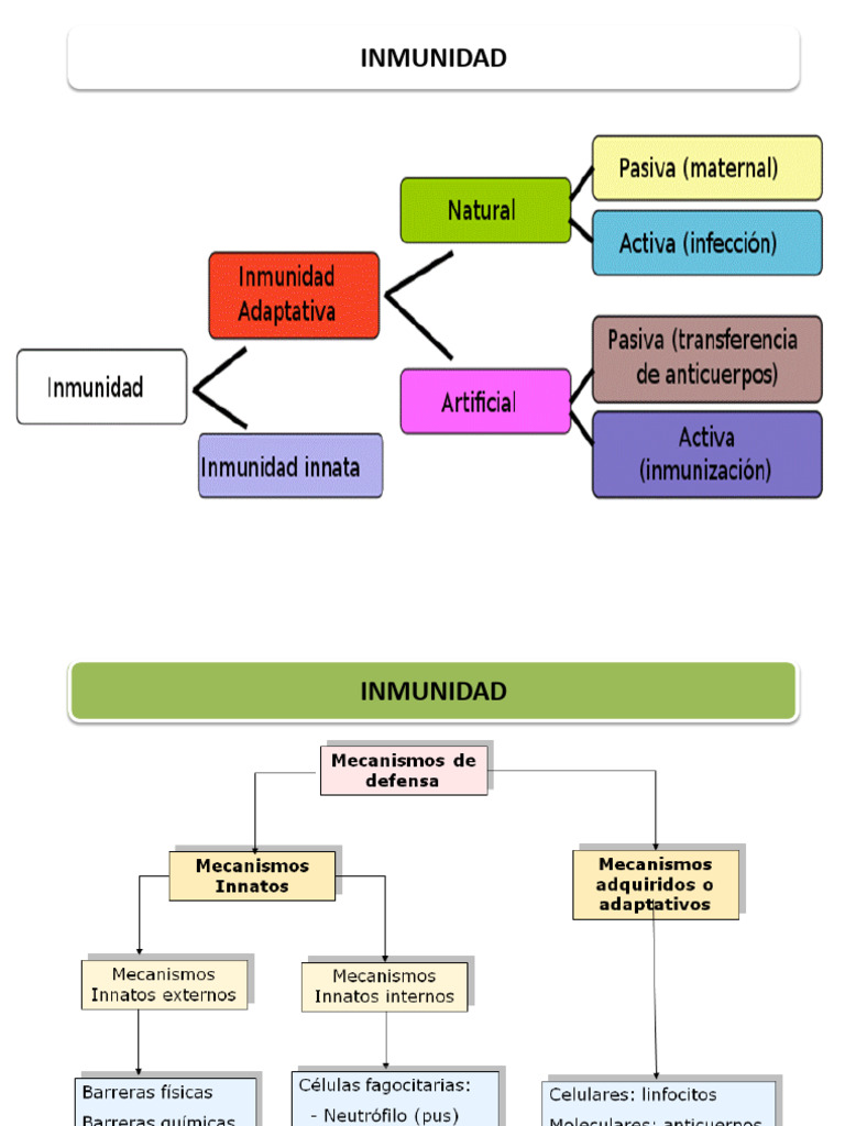 Información de Repaso | PDF