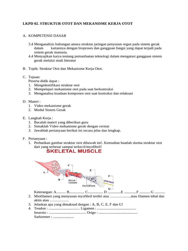 LKPD 02 Struktur Dan Mekanisme Kerja Otot-1 | PDF