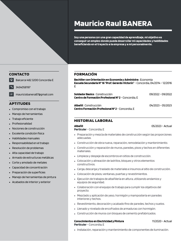 Mauricio Raul - BANERA - CV | PDF
