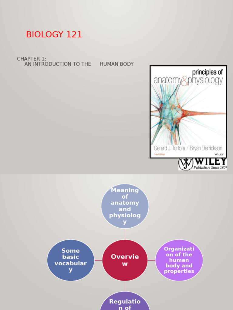 Biol 121 CH 1 Ntroduction Ro Human Anatomy (Ner.) | PDF