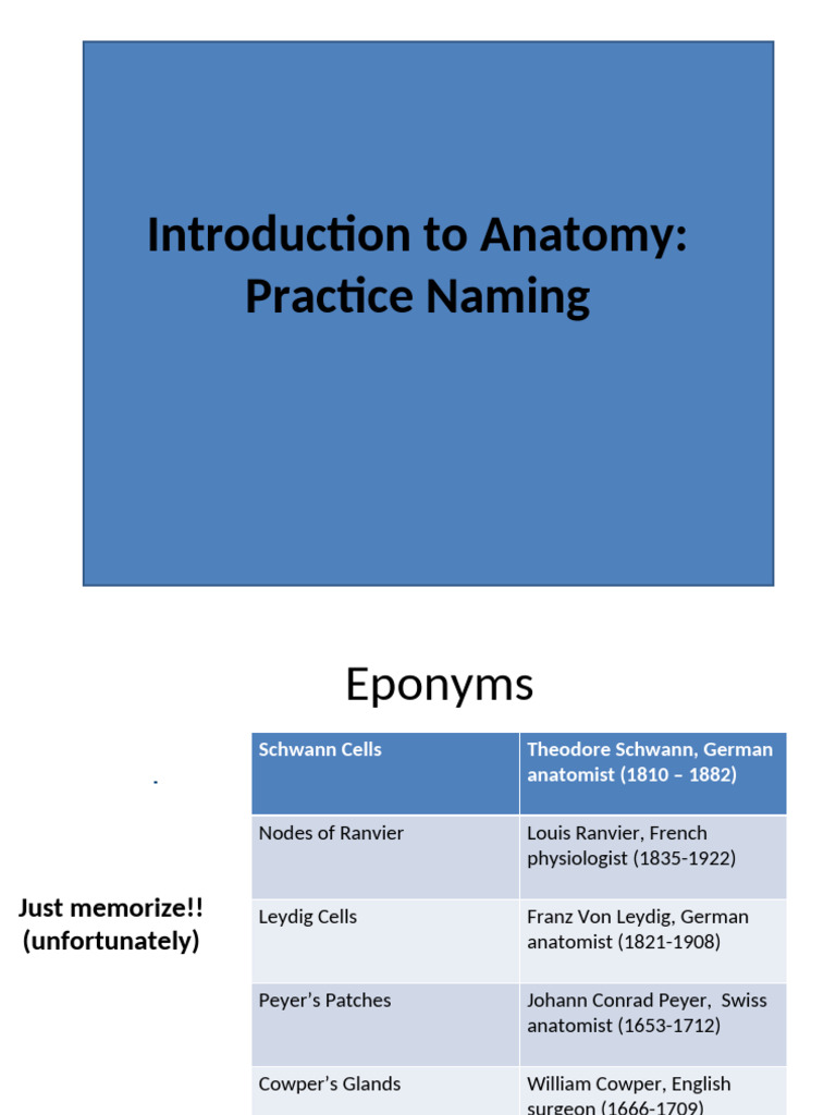 Lab (1) Ner (Autosaved) | PDF