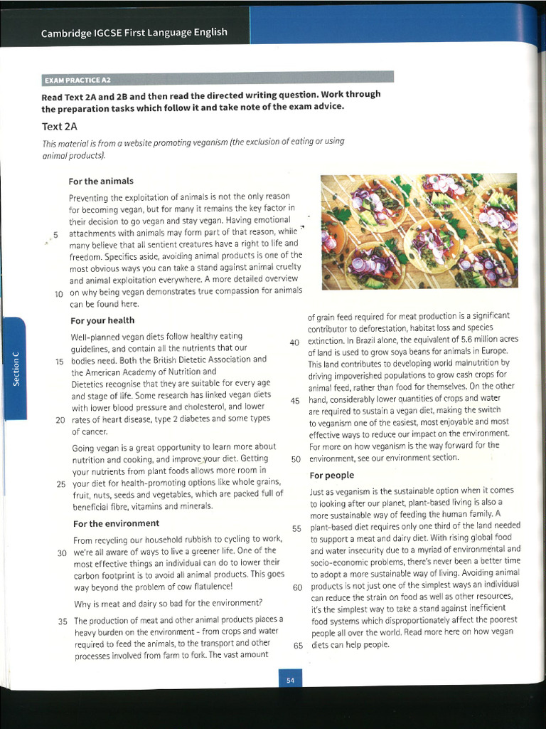 Text 2A | PDF