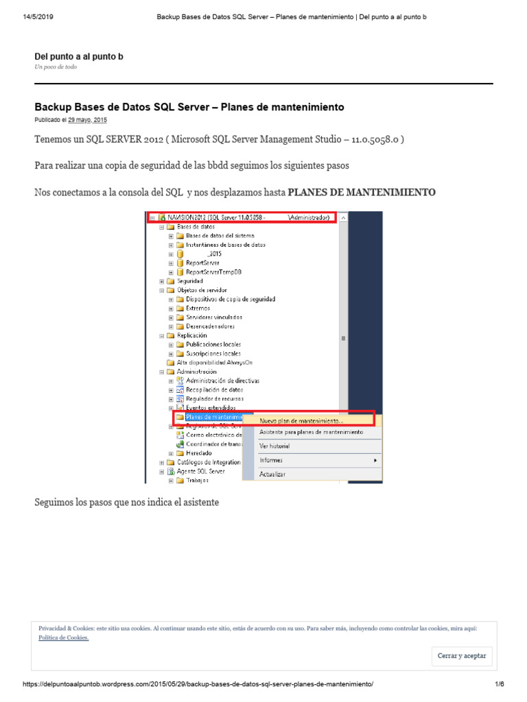 Backup Bases de Datos SQL Server – Planes de Mantenimiento | PDF