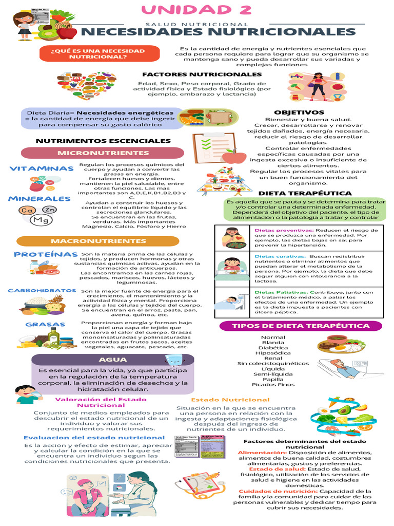 Infografía Necesidades Nutricionales Pdf Dieta Nutrición