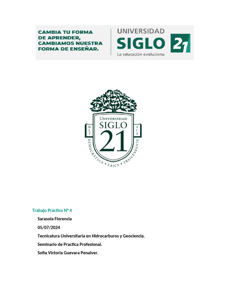 Tp4 Seminario Práctica Profesional Pdf