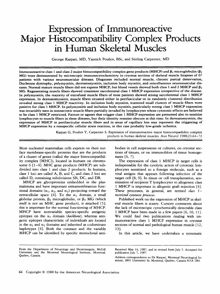 MCH-I Muscle Biopsy | PDF